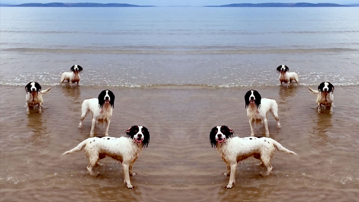 GLASS HANDEL OPERA MUSIC VIDEO directed by TILDA SWINTON & SANDRO KOPP ...